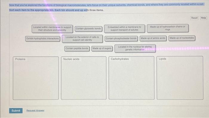Solved Now that youve explored the functions of biological | Chegg.com