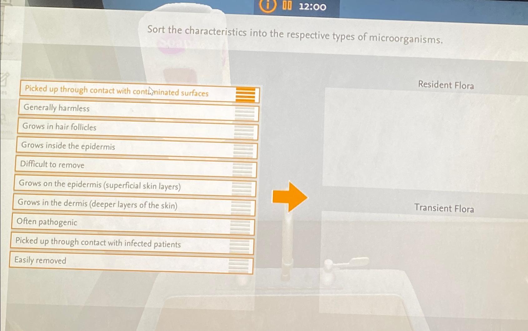 Solved Sort the characteristics into the respective types of | Chegg.com