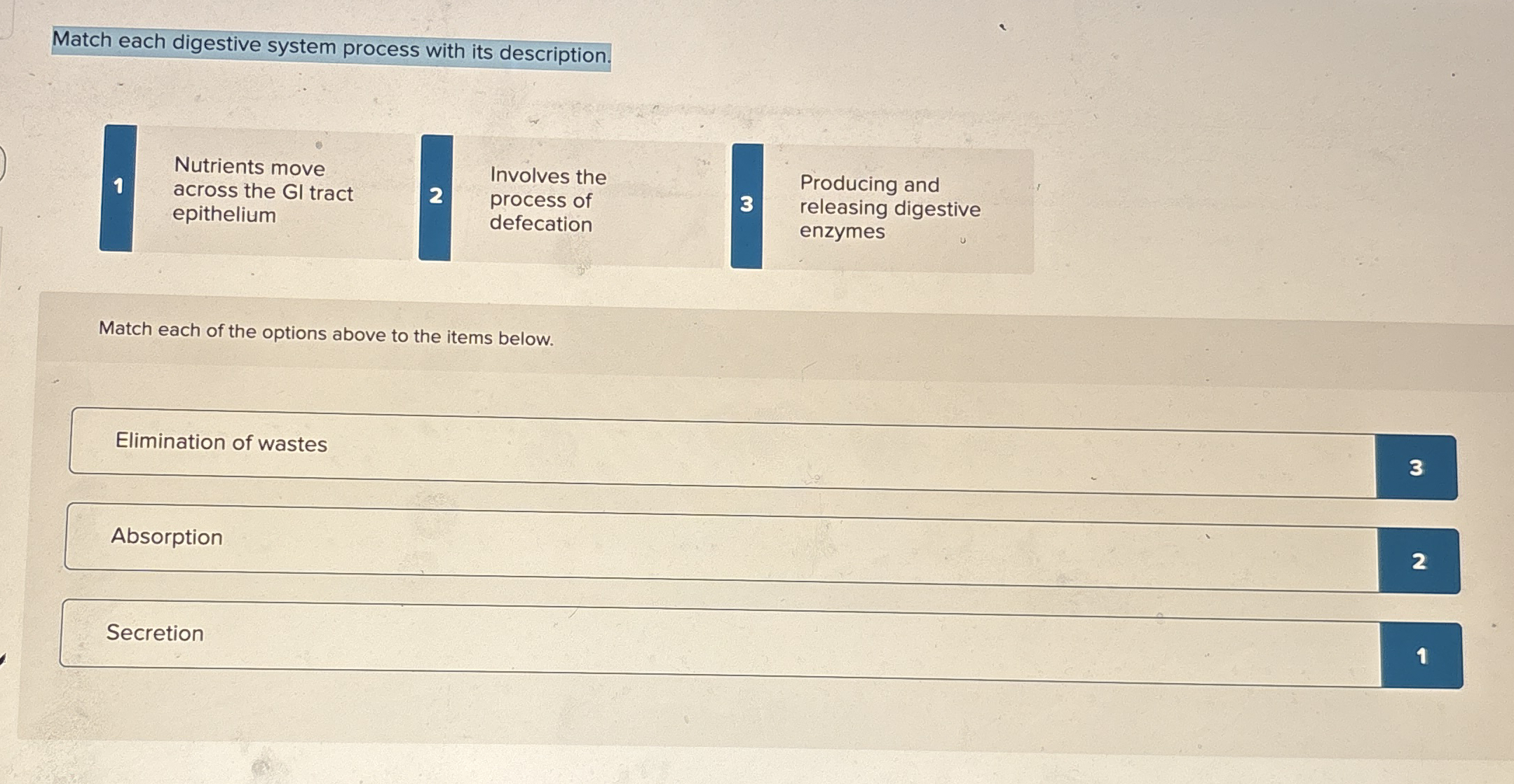 Solved Match each digestive system process with its | Chegg.com