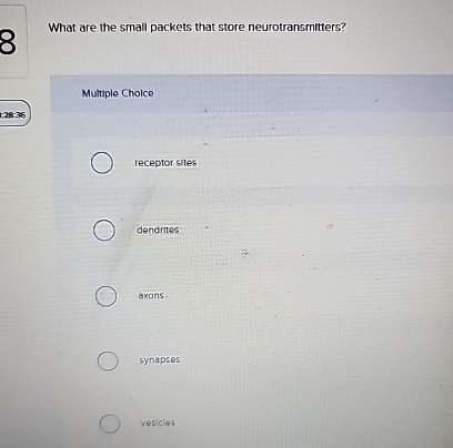 Solved What are the small packets that store | Chegg.com