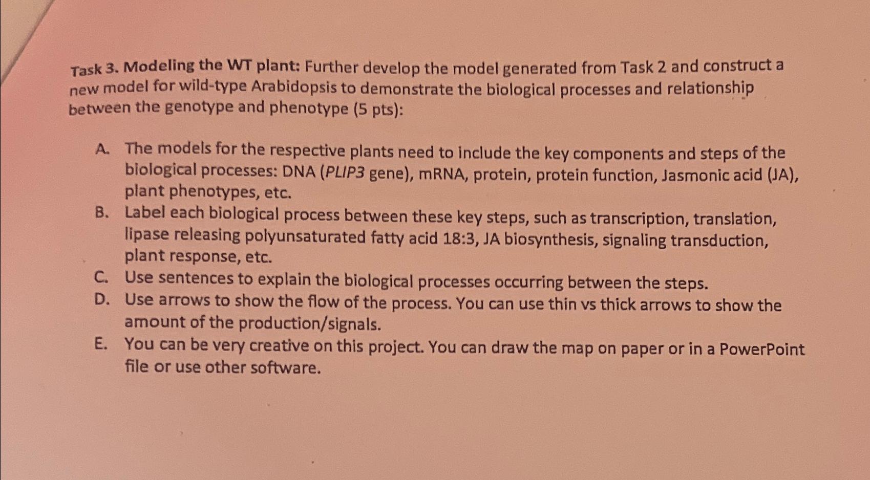 Solved Task 3. ﻿Modeling the WT plant: Further develop the | Chegg.com