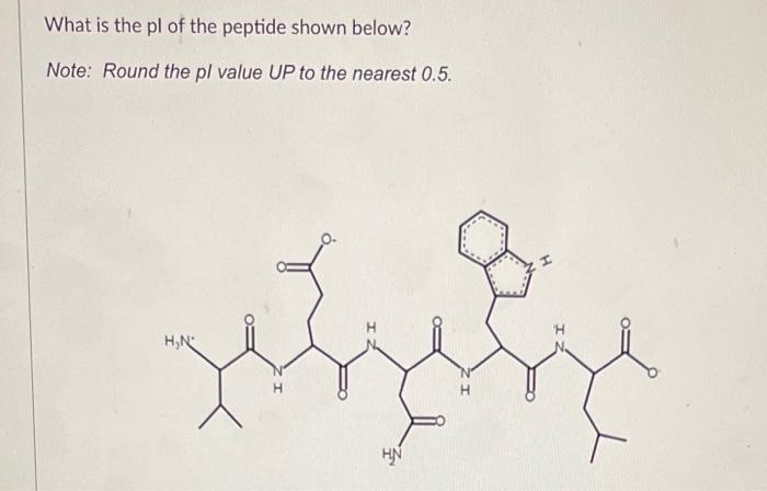 Solved What is the pl of the peptide shown below? Note: | Chegg.com