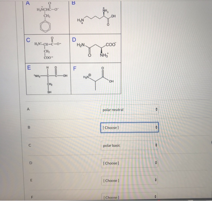 Solved HINCHC-0 OH H2N-CH-C-0- H2N ^ COO CH Coo- © NHS C-C | Chegg.com