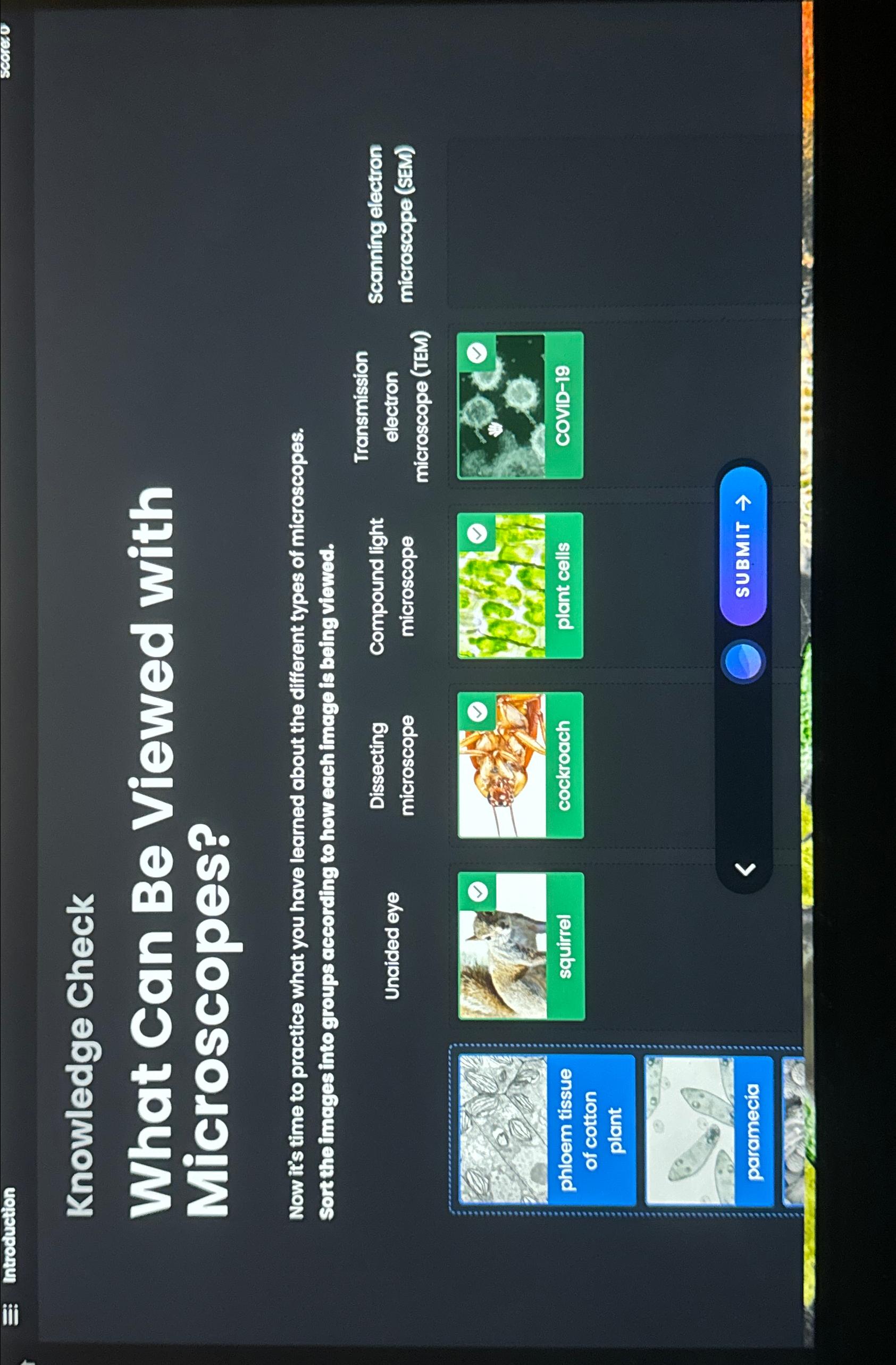 Solved IntroductionKnowledge CheckWhat Can Be Viewed with | Chegg.com