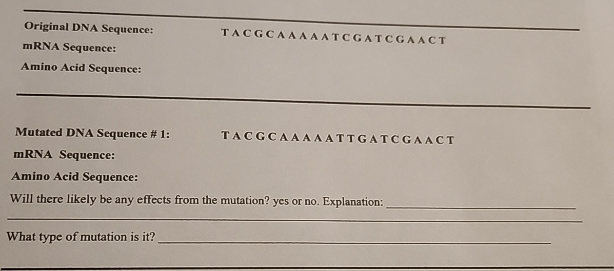 Solved Original DNA Sequence:mRNA | Chegg.com