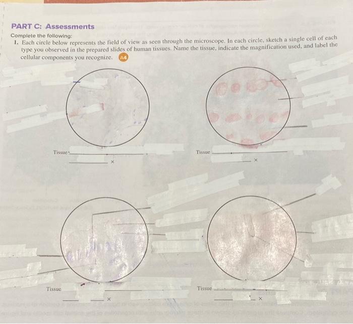 Solved PART C: Assessments Complete the following: 1. Each | Chegg.com Solved PART C: Assessments Complete the following: 1. Each | Chegg.com