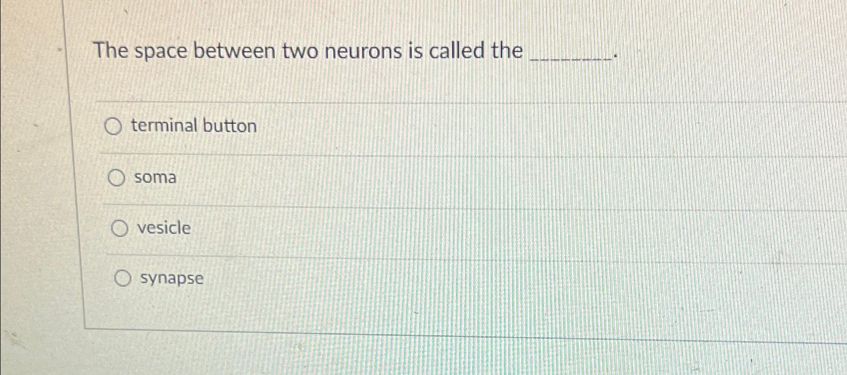 Solved The space between two neurons is called theterminal | Chegg.com