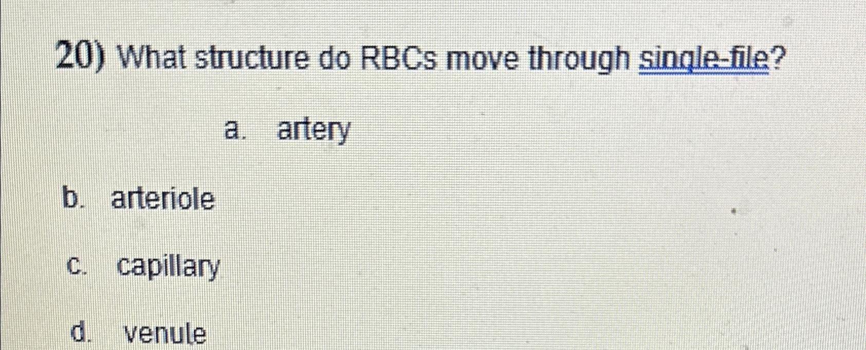 Solved What structure do RBCs move through sinqle-file?a. | Chegg.com
