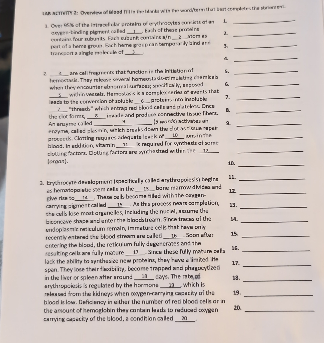 Solved LAB ACTIVITY 2: Overview of Blood Fill in the blanks | Chegg.com