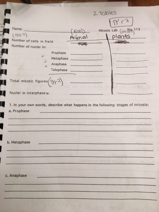 Solved 2 tables (fish) Animal Mitosis Lab (onBia 115 plants | Chegg.com