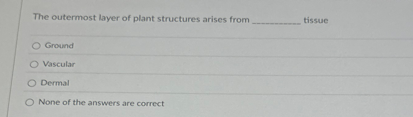 Solved The outermost layer of plant structures arises | Chegg.com