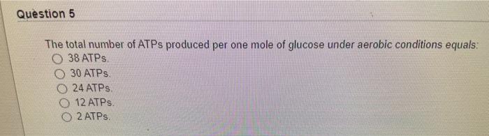 Solved Question 5 The total number of ATPs produced per one | Chegg.com