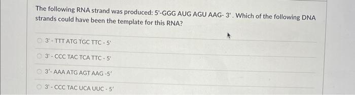 Solved The following RNA strand was produced: 5'-GGG AUG AGU | Chegg.com