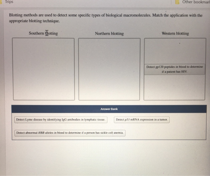 Solved Trips Other bookmar: Blotting methods are used to | Chegg.com