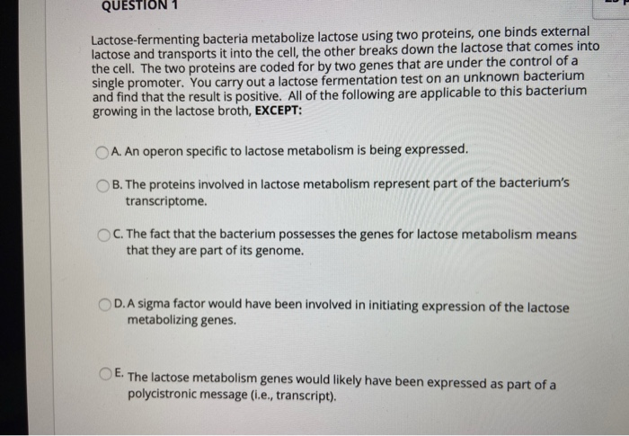 Solved QUESTION 1 Lactose-fermenting bacteria metabolize | Chegg.com