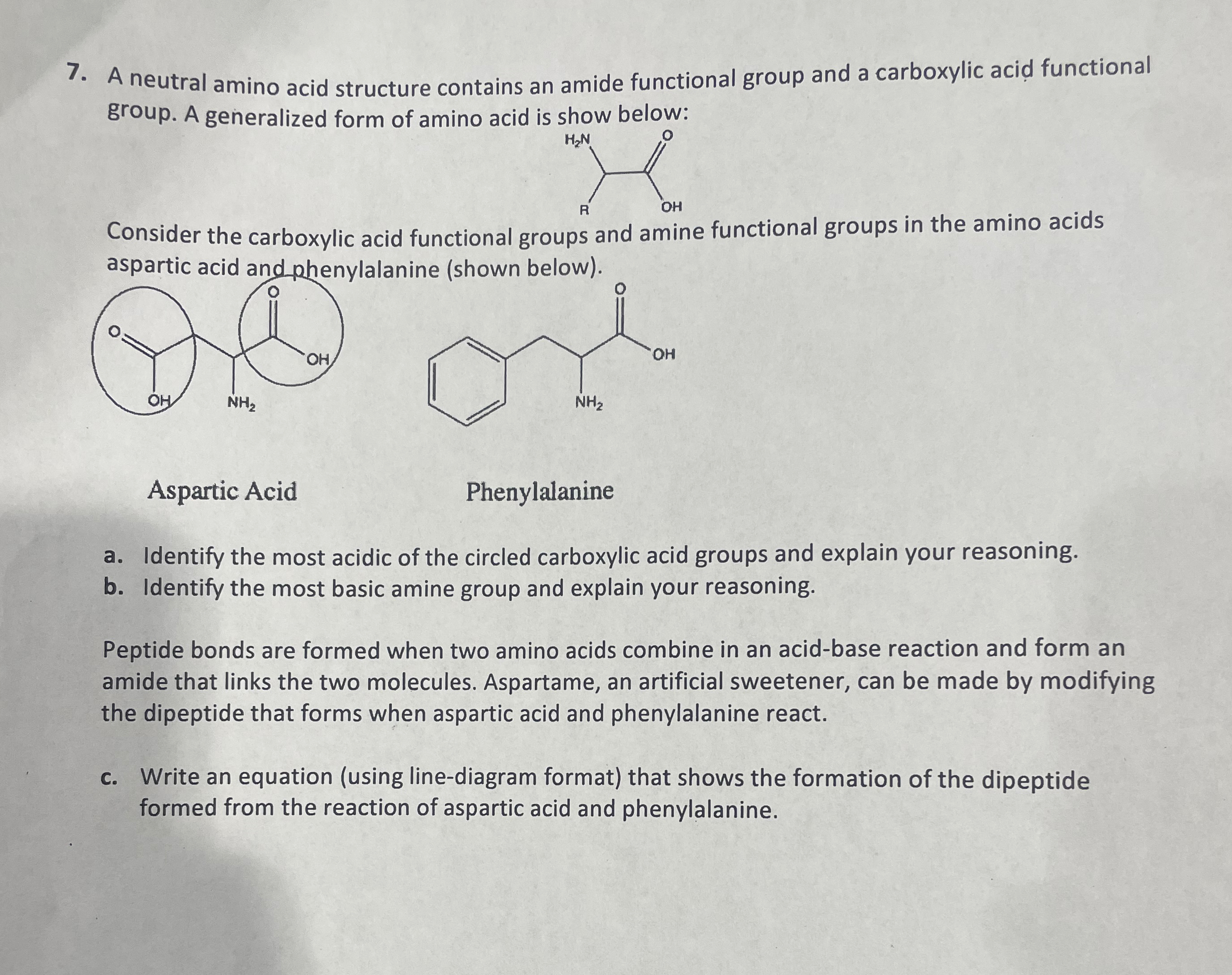 Solved A neutral amino acid structure contains an amide | Chegg.com