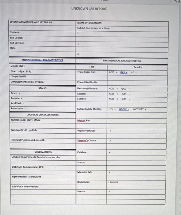 Solved Task UNKNOWN LAB REPORT UNKNOWN NUMBER AND LETTER: 86 | Chegg.com