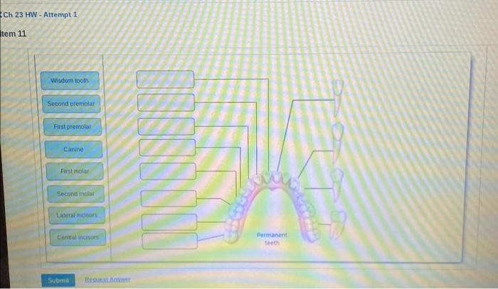 Ch. 23 HW - Attempt 1 tem 11 | Chegg.com