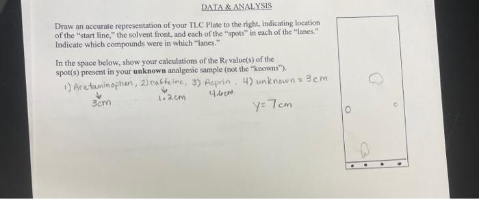 Draw an accurate representation of your TLC Plate to | Chegg.com