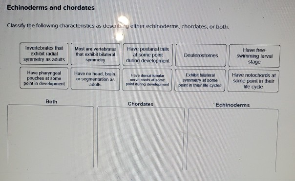 Solved Echinoderms and chordates Classify the following | Chegg.com
