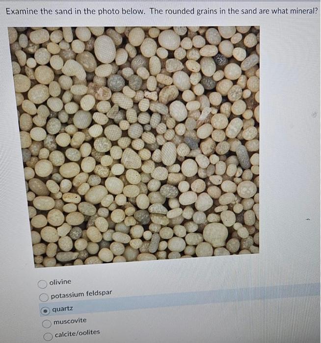 Solved Examine the sand in the photo below. The rounded | Chegg.com