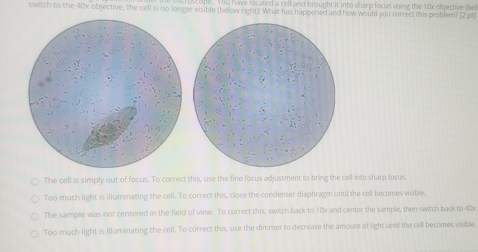 Solved you are observing a specimen under the microscope. | Chegg.com