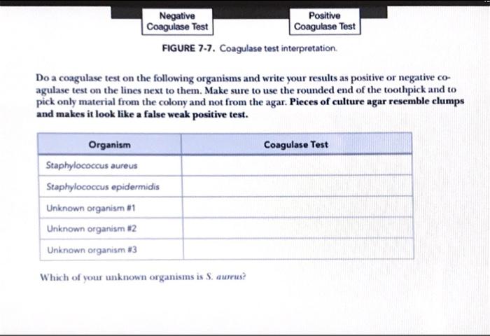 Solved The PYR (Pyrolidonyl Arylamidase) Test The PYR test | Chegg.com