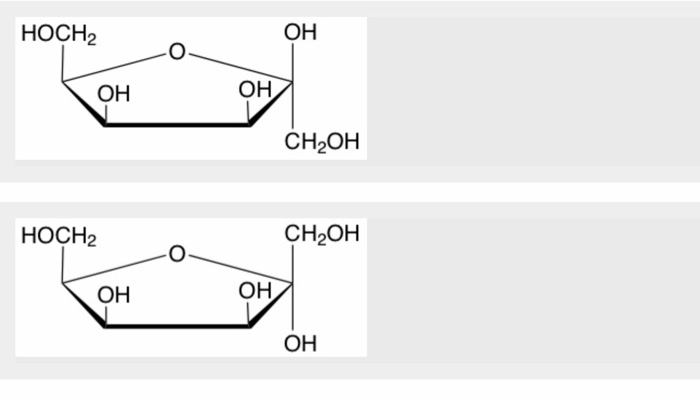 Solved Which of the following is the Haworth projection of a | Chegg.com