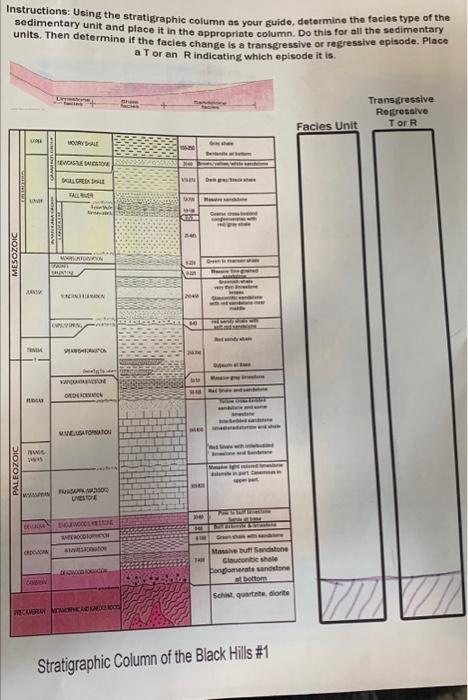 Solved Instructions: Using the stratigraphic column as your | Chegg.com