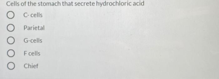 Solved Cells of the stomach that secrete hydrochloric acid | Chegg.com