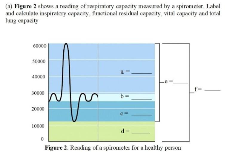Solved (a) Figure 2 shows a reading of respiratory capacity | Chegg.com