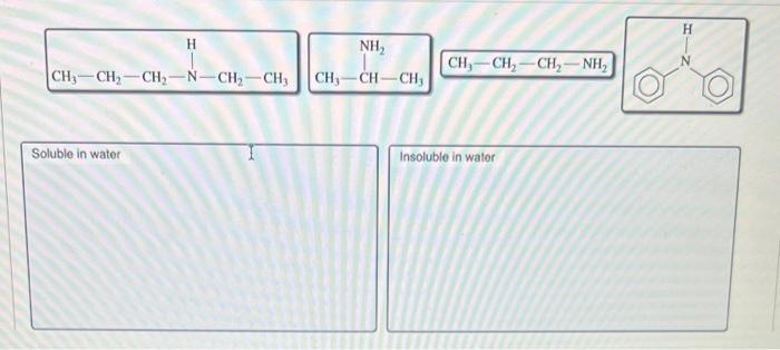 Solved CH3−CH2−CH2−NH2 Insoluble in waterpyrrolidine pyrrole | Chegg.com