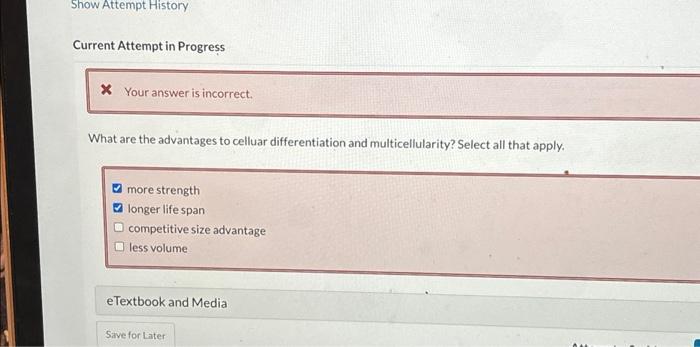 Solved Show Attempt History Current Attempt in Progress X | Chegg.com