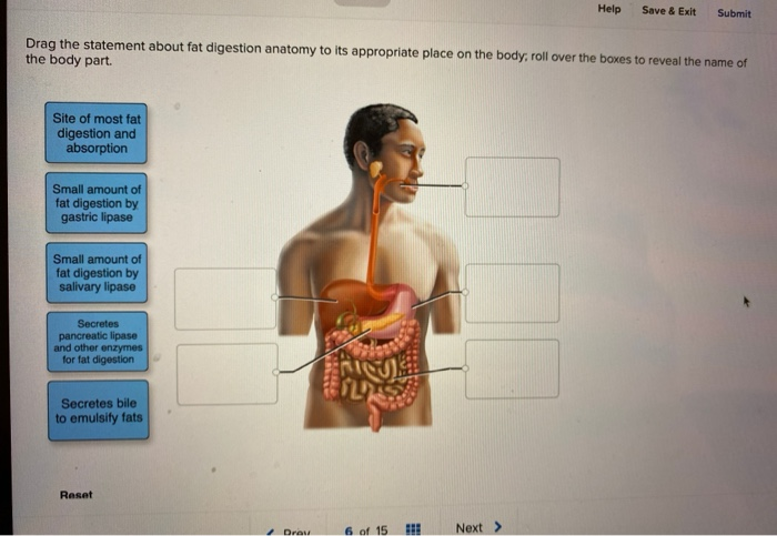 Solved Help Save & Exit Submit Drag the statement about fat | Chegg.com Solved Help Save & Exit Submit Drag the statement about fat | Chegg.com