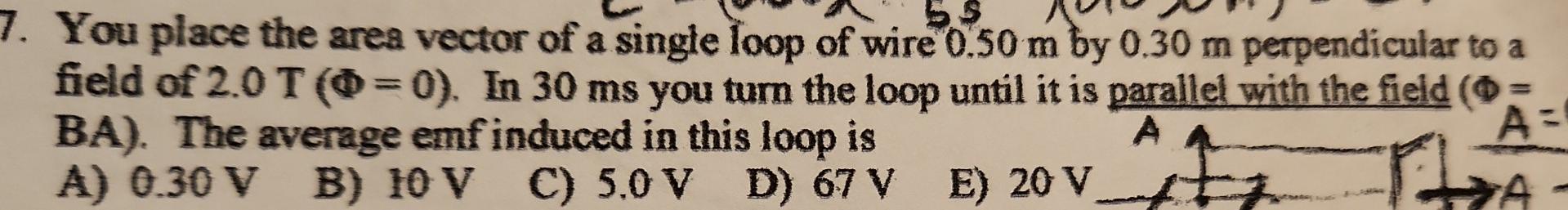 Solved You place the area vector of a single loop of wire | Chegg.com