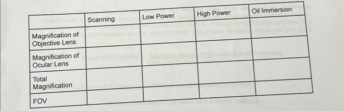 Solved Magnification of Objective Lens Magnification of | Chegg.com