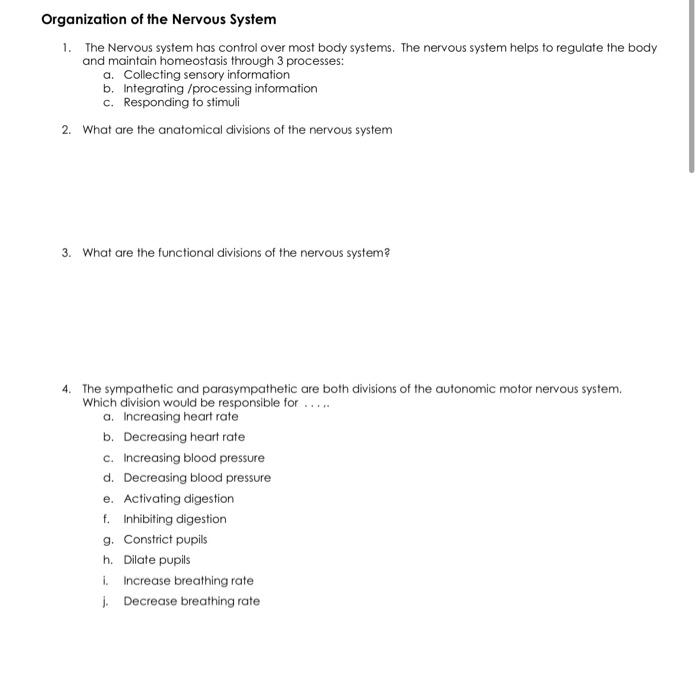 Solved Organization of the Nervous System 1. The Nervous | Chegg.com