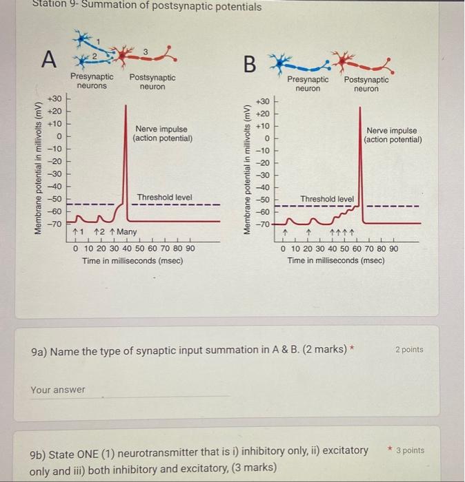 Solved Station 9-Summation of postsynaptic potentials 9a) | Chegg.com