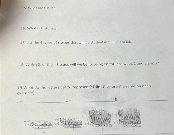 Solved 15. What are tissues: 16. What is Histology: 17. List | Chegg.com