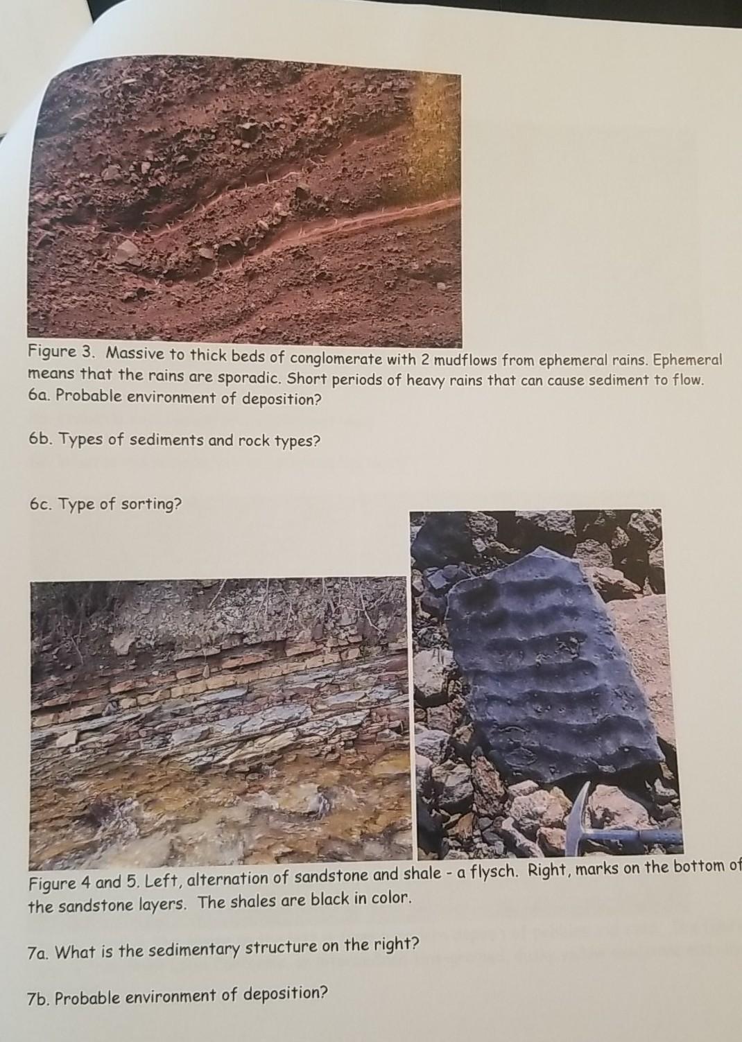 Solved ormance. 7. Sedimentary Rock Classification chastic & | Chegg.com