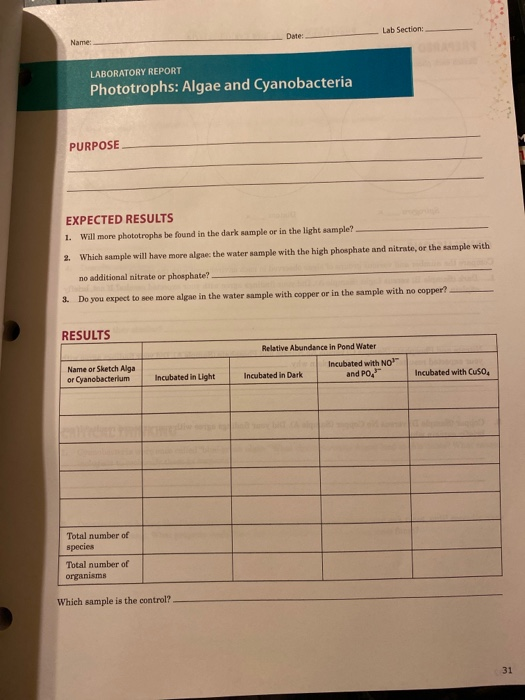 Solved Lab Section: Date: Name LABORATORY REPORT | Chegg.com