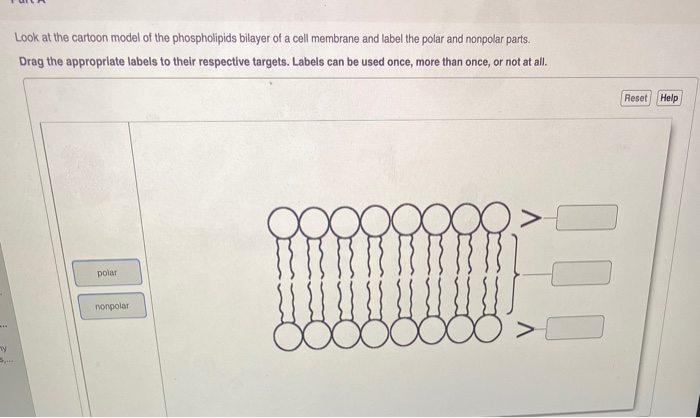 Solved Part A Will a red blood cell undergo crenation, | Chegg.com