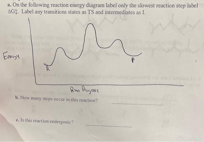 Solved a. On the following reaction energy diagram label | Chegg.com