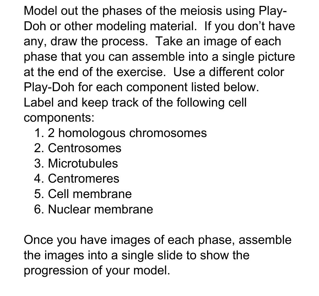 Solved Model out the phases of the meiosis using PlayDoh or | Chegg.com