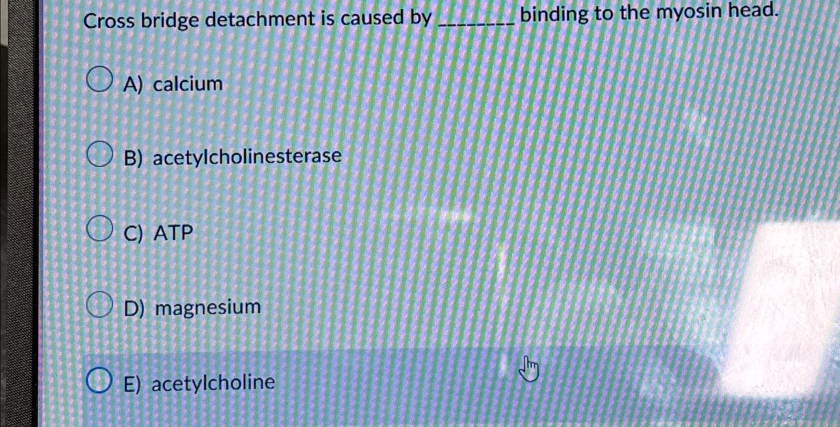 Solved Cross bridge detachment is caused by binding to the | Chegg.com