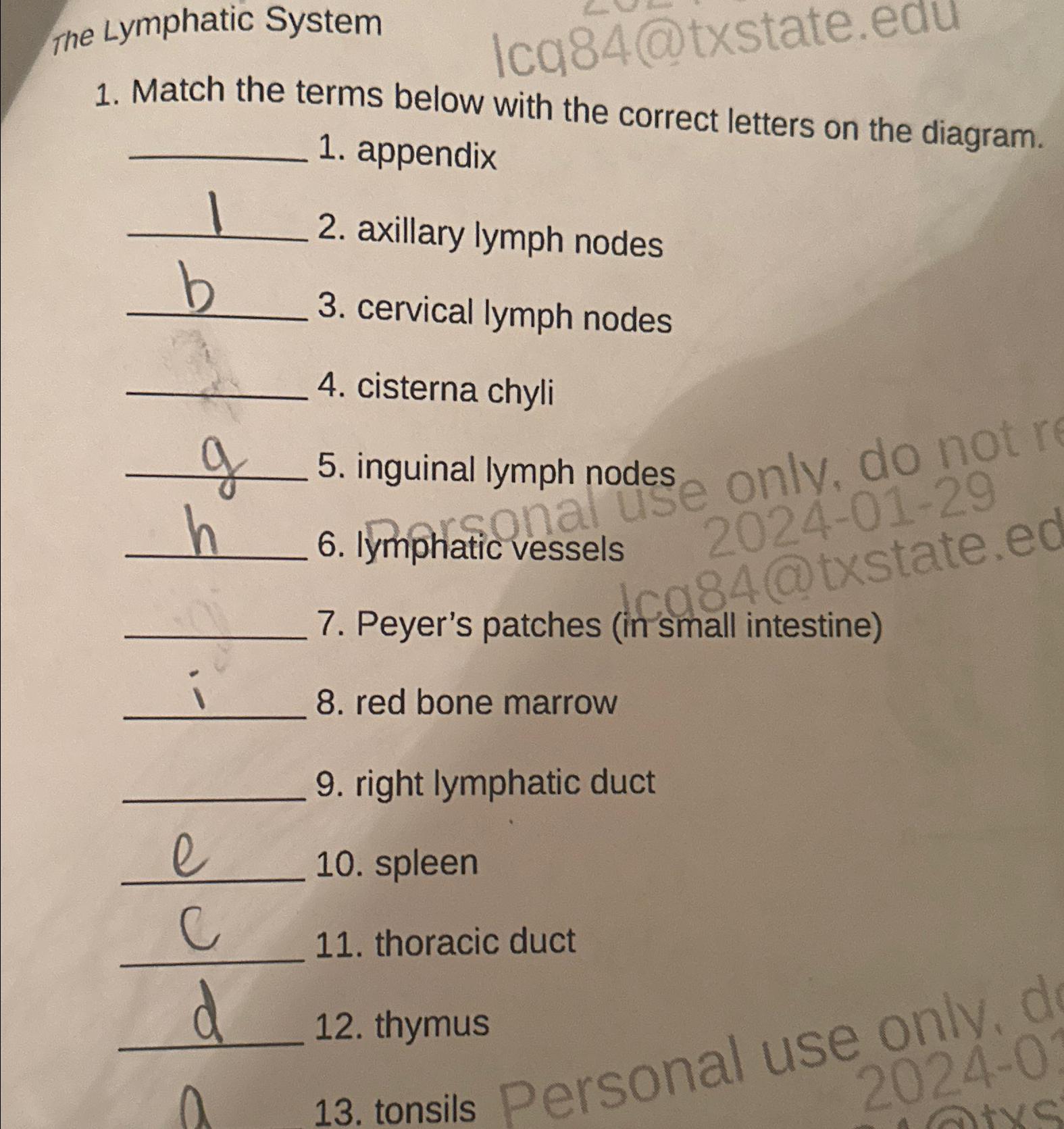Solved The Lymphatic SystEmMatch the terms below with the | Chegg.com