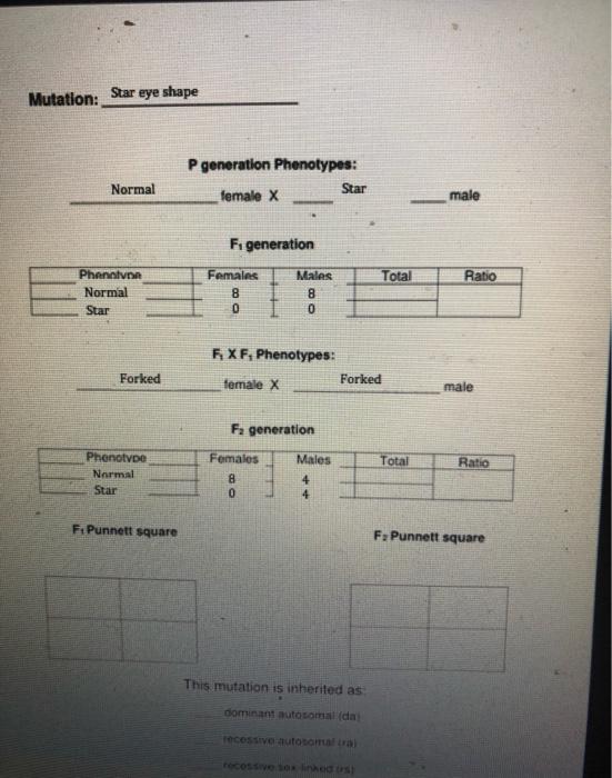Solved No eyes Mutation: P generation Phenotypes: female X | Chegg.com