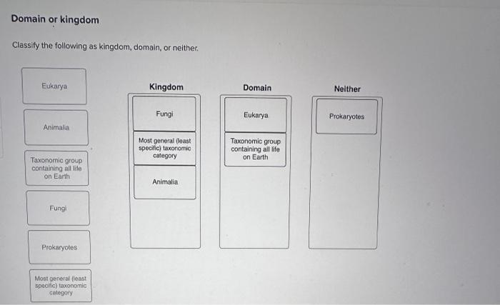 Solved Domain or kingdom Classify the following as kingdom, | Chegg.com