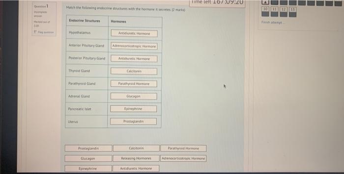 Solved W Marted Match the following endocrine structures | Chegg.com