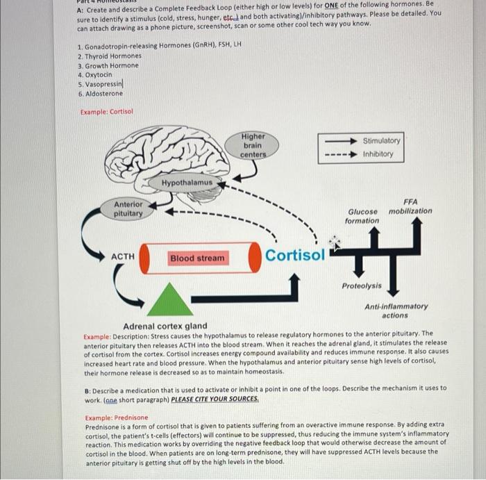 Solved A: Create and describe a Complete Feedback Loop | Chegg.com